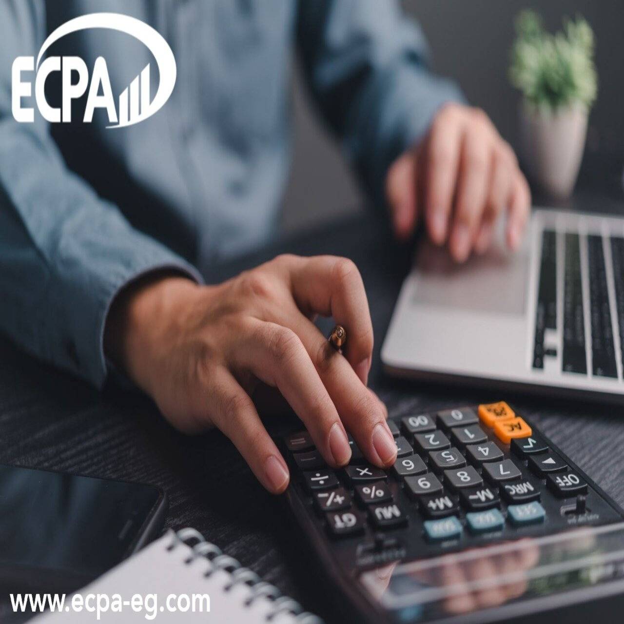 External Audit Working Papers | ECPA | ECPA | ECPA