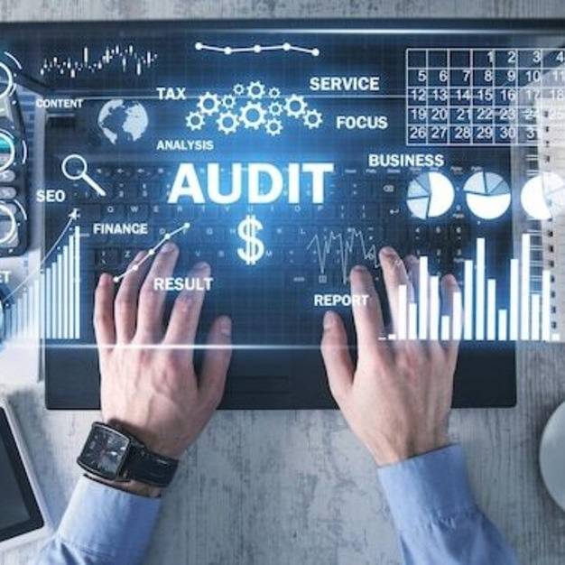 Audit Activities and Their Role in Increasing Profitability | ECPA