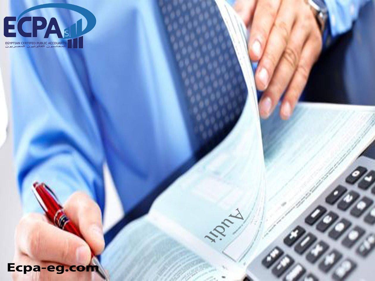 Classification of external audit services within the framework of ...